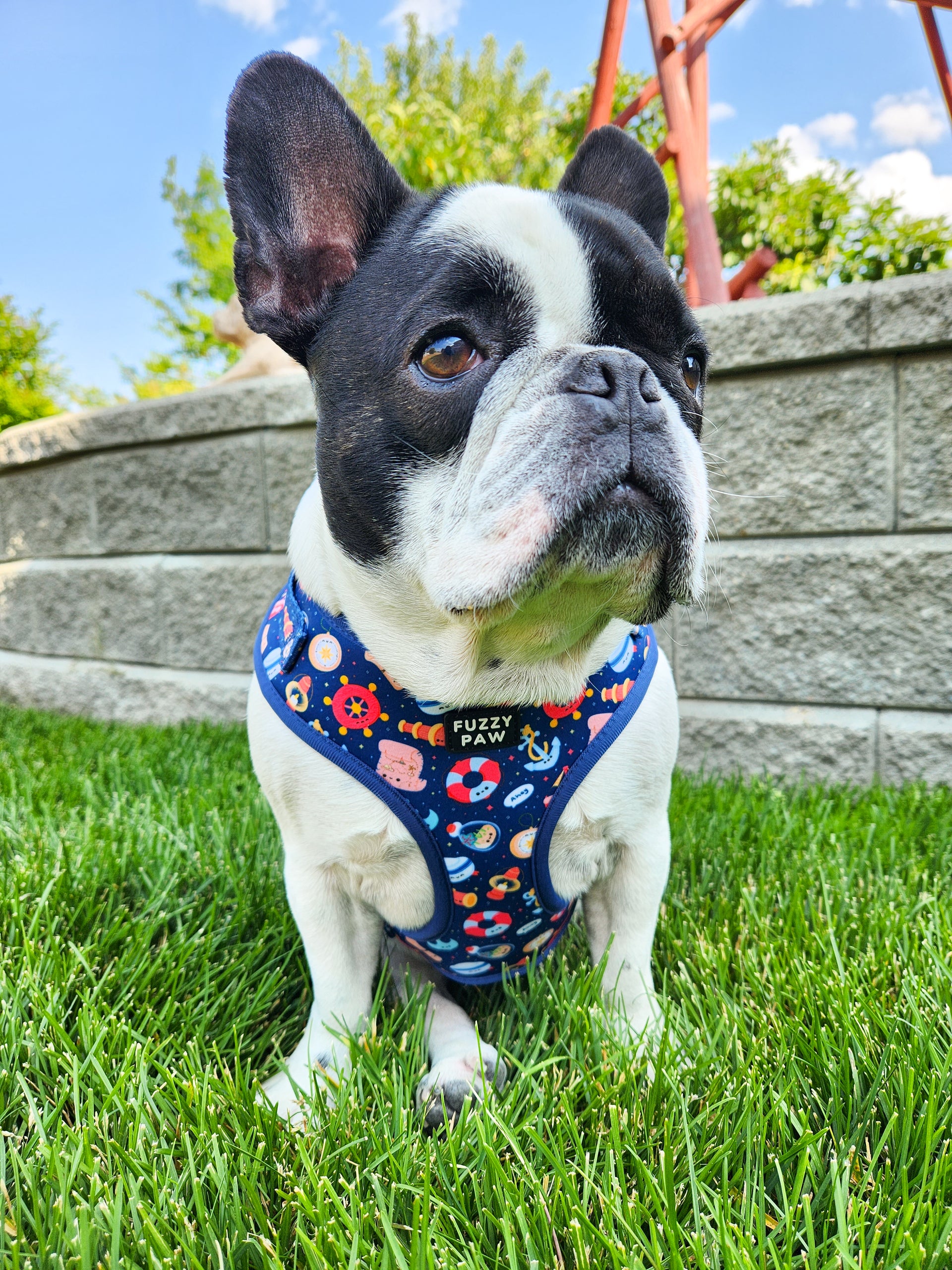 Fuzzy Paw Co. - Cute Dog Accessories!